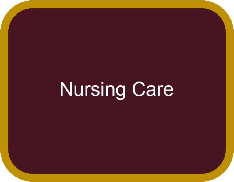 HOME - Elcare Health Care Services